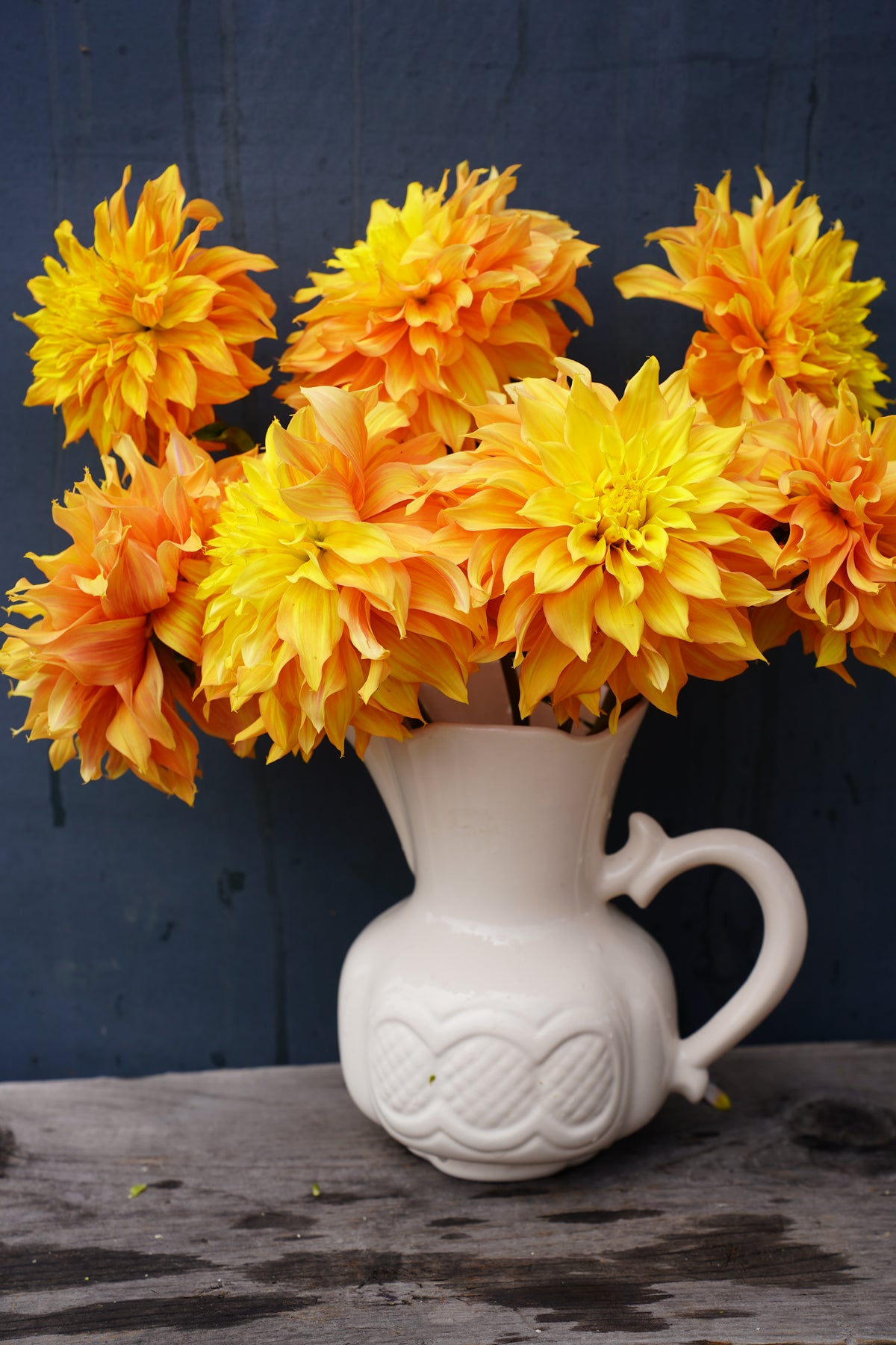 Dahlia Tuber - Ginger Crush | EarthSpoke Farms